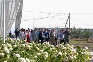 Қала күні: Shymkent City шағынауданында жаңа саябақ ашылды